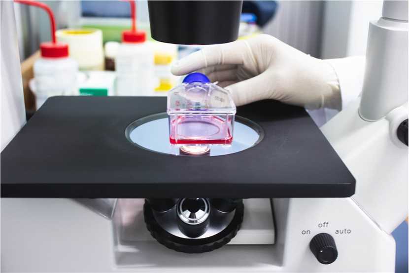 Therapeutic mAbs & Proteins - Creative Diagnostics Therapeutic mAbs & Proteins - Creative Diagnostics