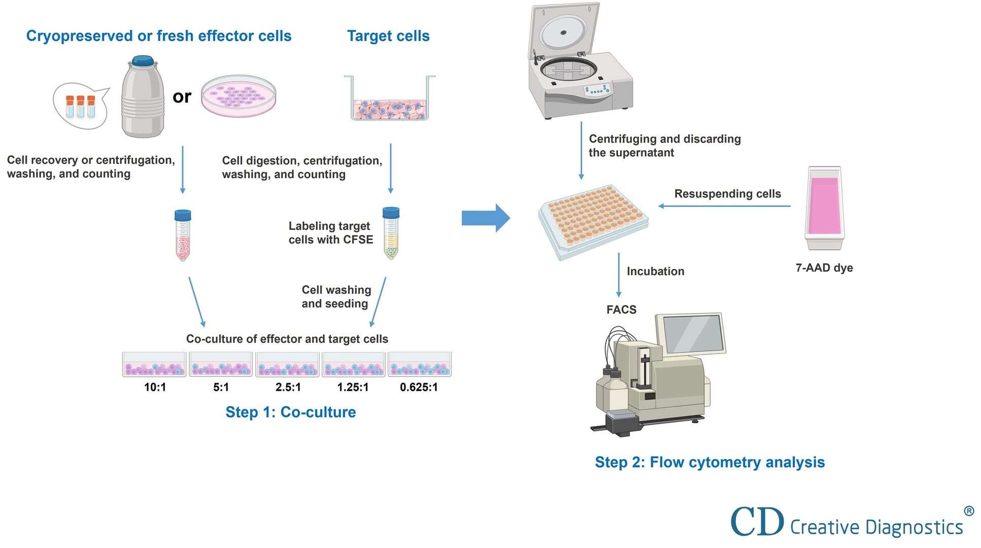 Tumor Killing Assay Kits - Creative Diagnostics