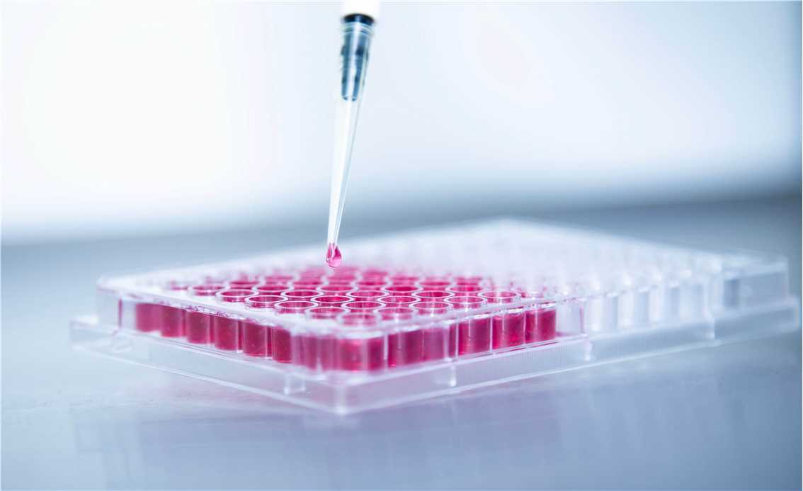 Vaccine Development - Creative Diagnostics